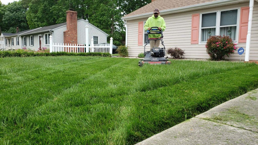 How to Stripe a Lawn - Picture Perfect Lawn Maintenance